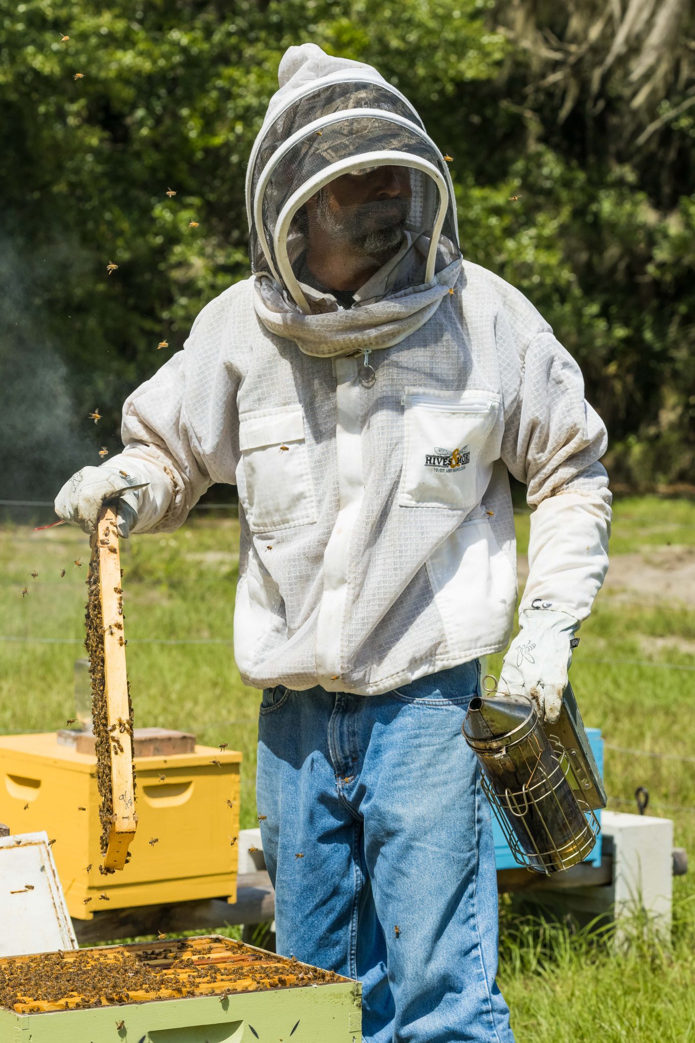 St. Johns County Beekeepers Association – Backyard Beekeeping and More